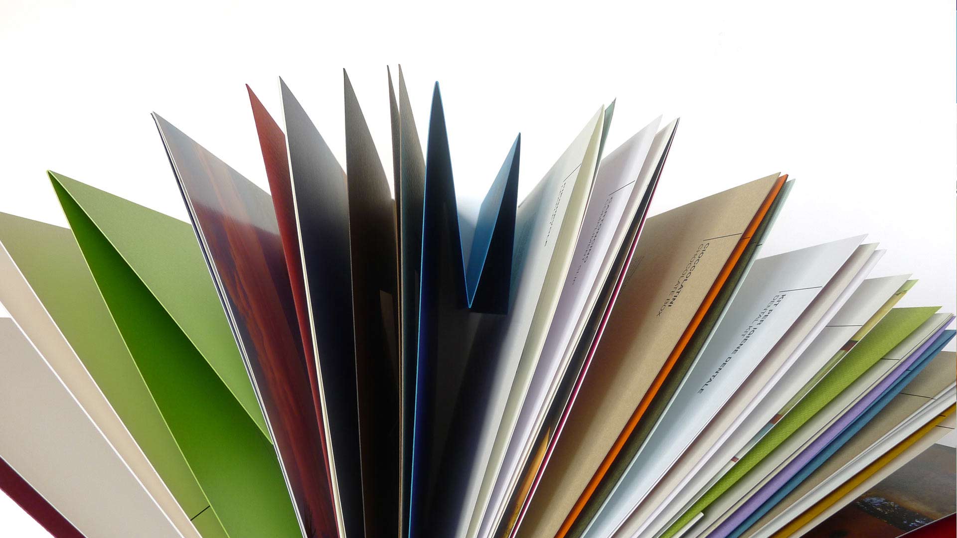 Fedrigoni Hotel Book | Thomas Manss & Company